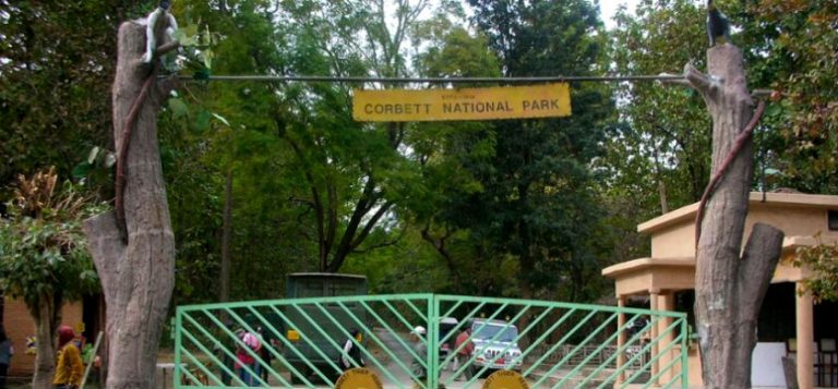 Jim Corbett National Park Information - Corbett Travel Guide & Safari ...